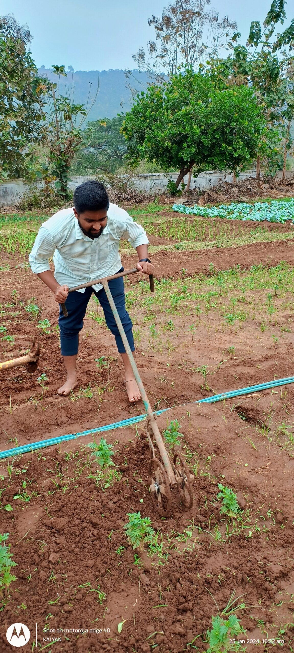 Marigold Cultivation Unit - GIET University | Odisha | Gunupur