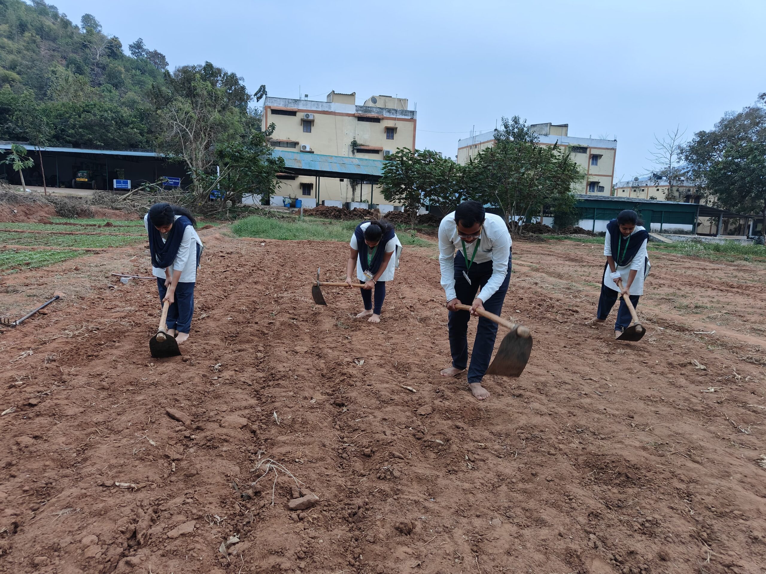 Lemon Grass - GIET University | Odisha | Gunupur